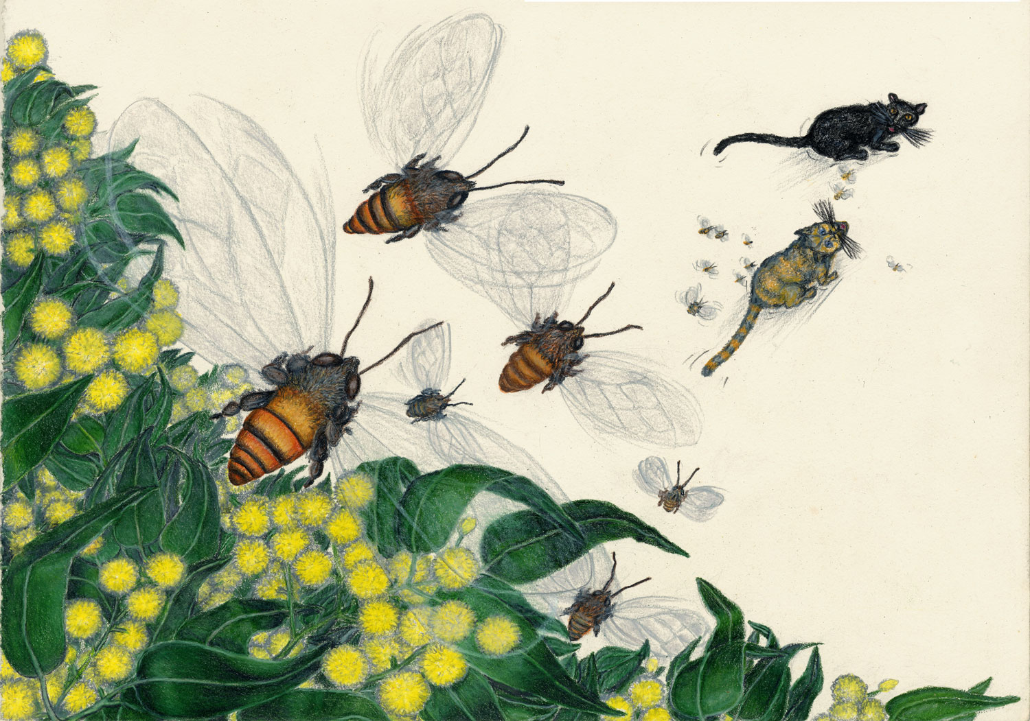 Simone Fraser – Artist – Illustrator